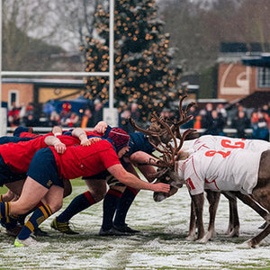 Rugby-Themed Christmas Jumpers That Scrum Down the Competition