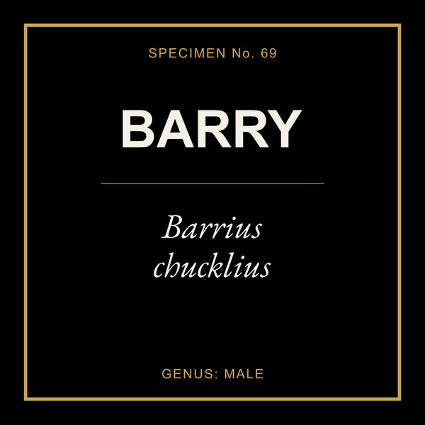 Barry Gift Idea T Shirt | Formally Classified, Unique